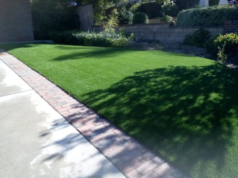 5 Tips To Maintain Artificial Grass Around Step Stone Path In Lemon ...